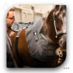 Equery – Equery technology